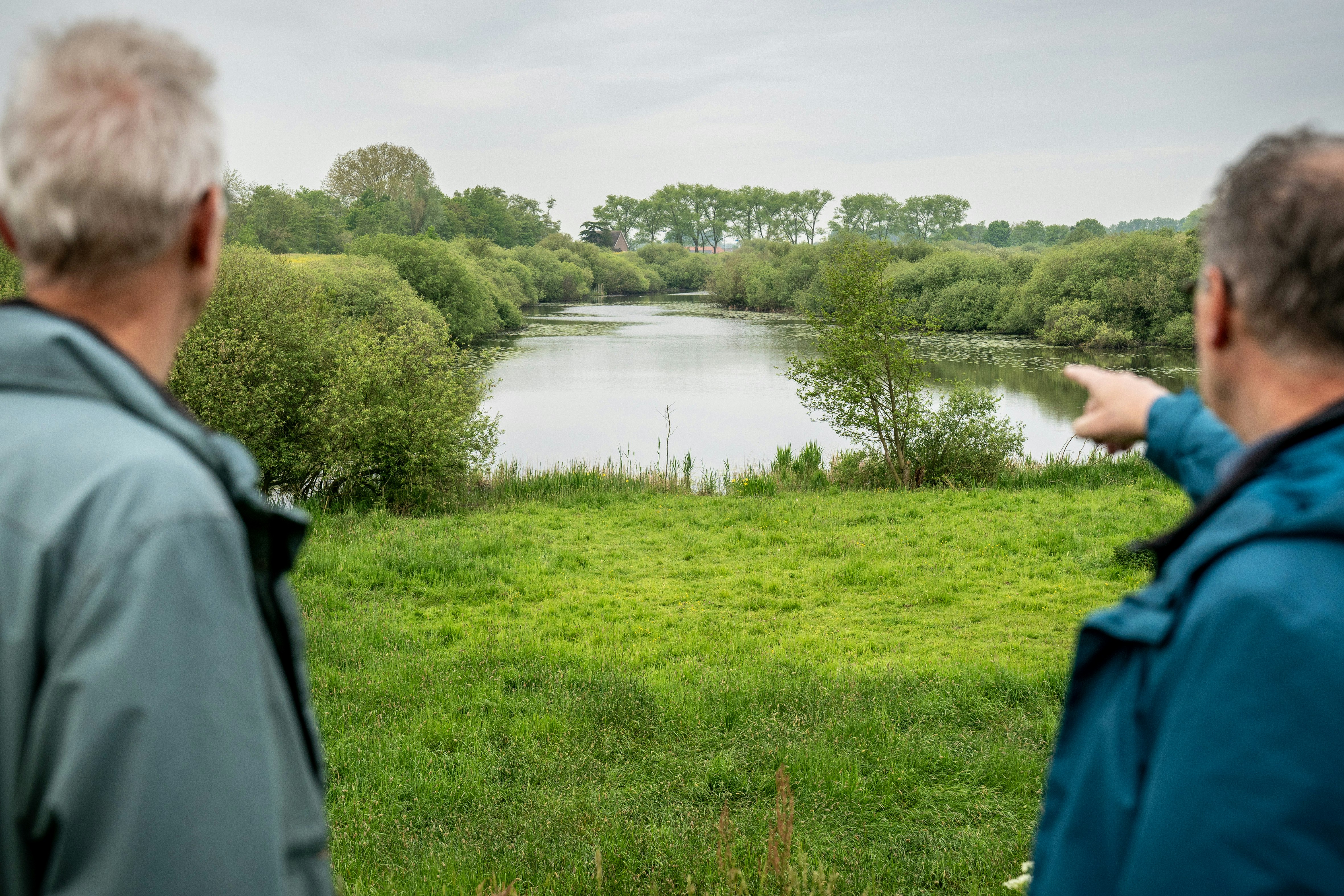 Meanderende Maas: samen optrekken voor het verbeteren van ecologische ...