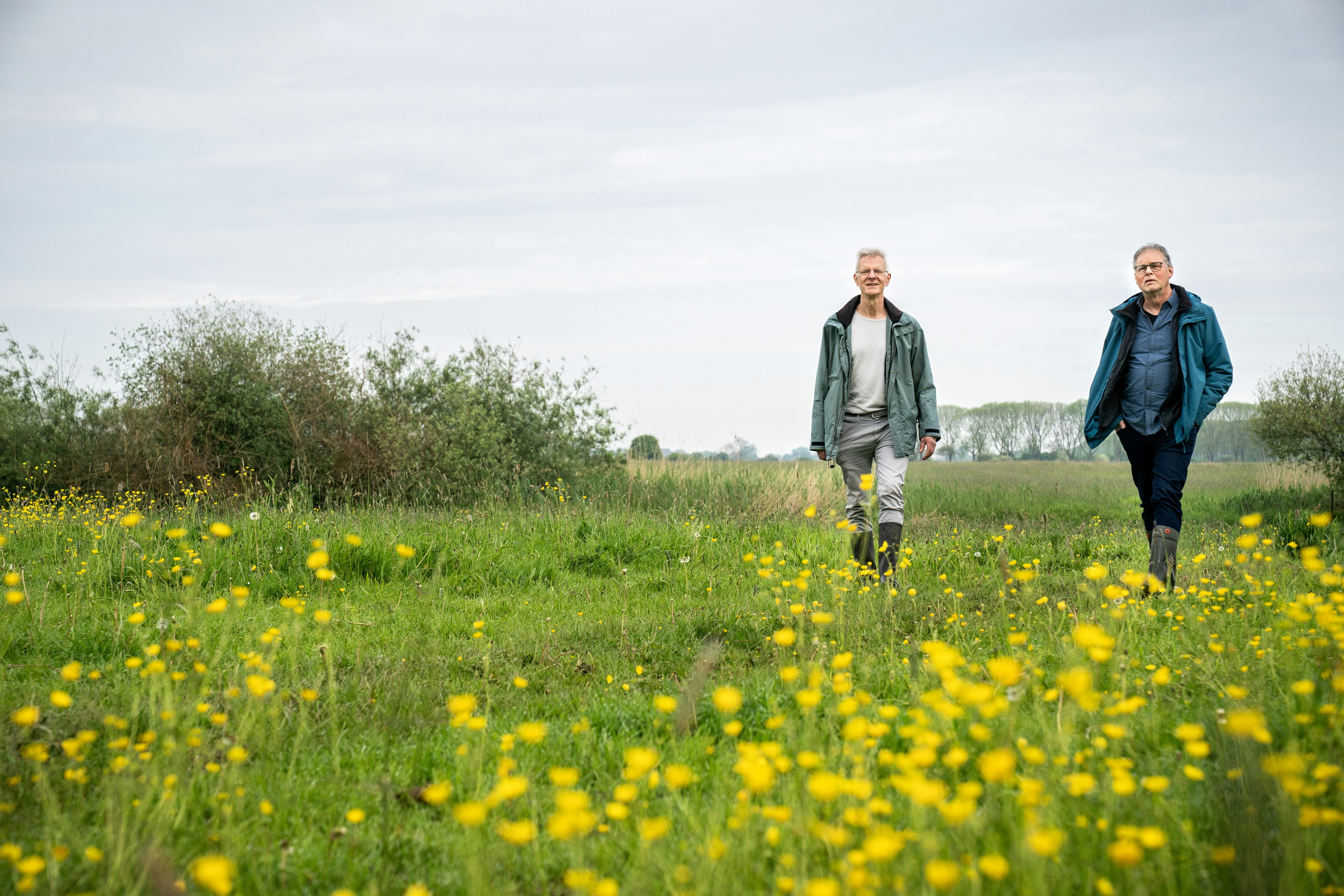 Meanderende Maas: samen optrekken voor het verbeteren van ecologische ...