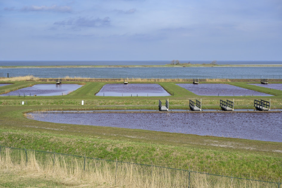 Rijkswaterstaat versterkt Vooroever Andijk; januari - maart