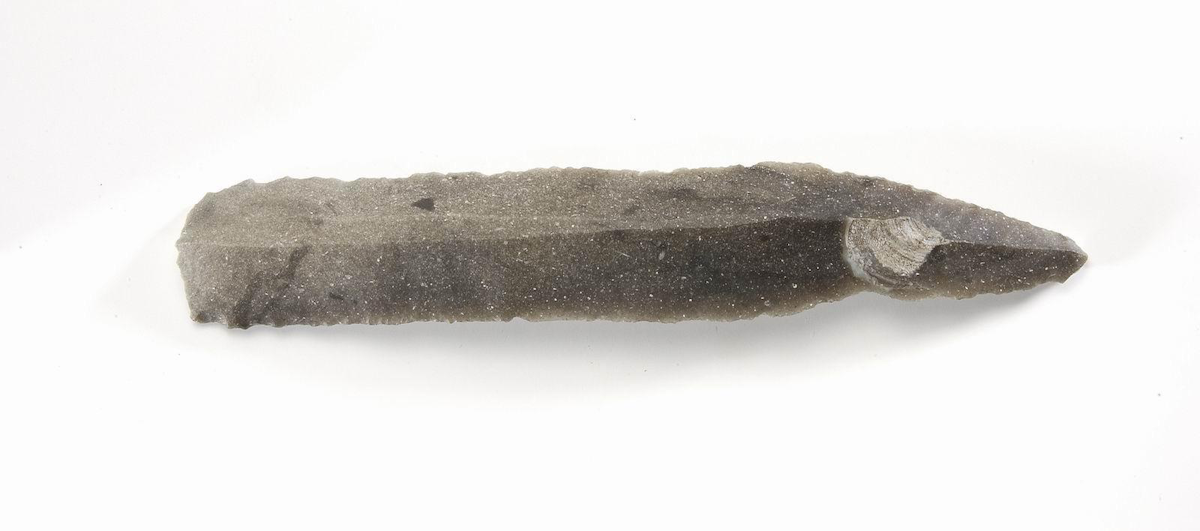 Rare prehistoric farm discovered near Susteren