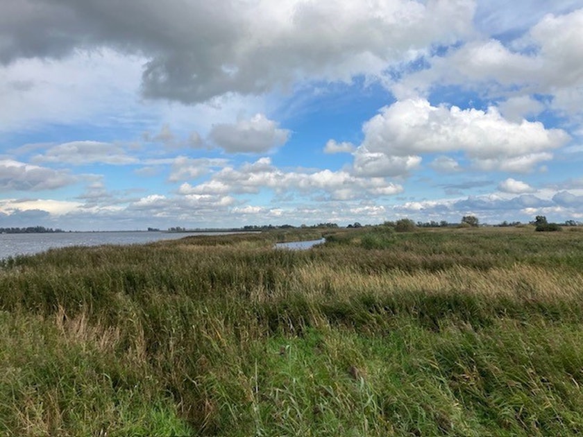 Planning Zwarte Meer: aanleg natuurvriendelijke oevers